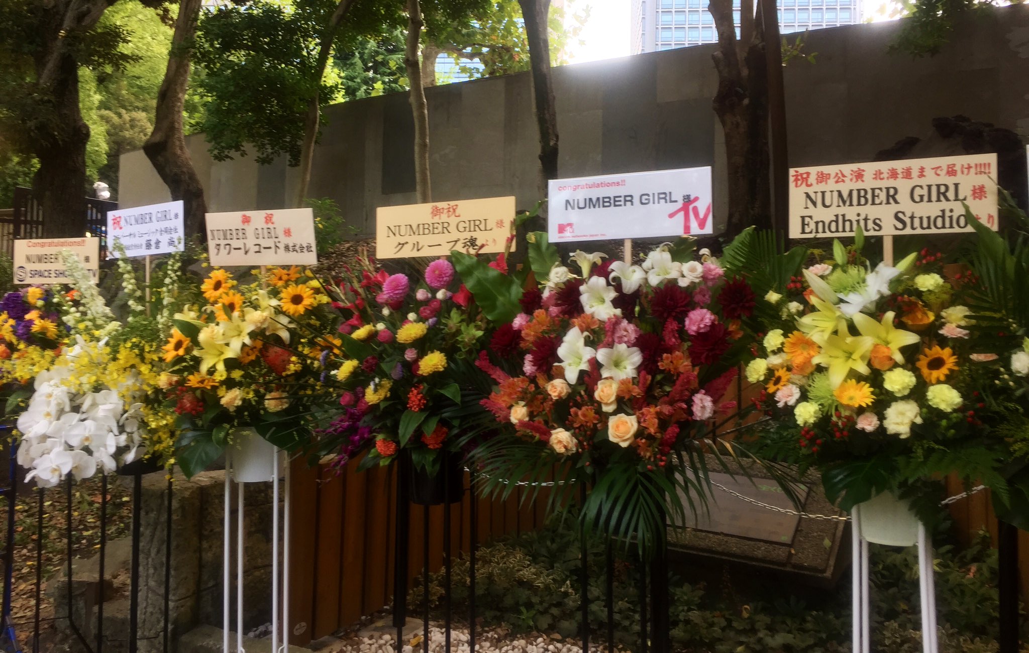 🦓𝚜𝚑𝚒𝚖𝚊𝚞𝚖𝚊🦓 on Twitter: "今日はナンバーガールです！！！！ 10代の頃からライブに行くのが夢だった。もう始まる前からおかしくなりそう。ナカケンさんのベース生で聴けるー ...