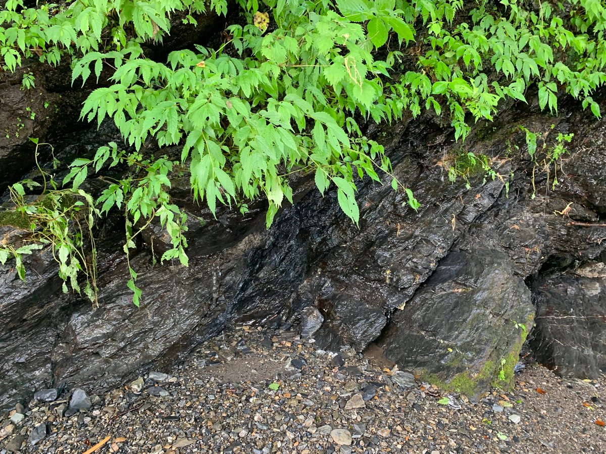 しゅうまい (@hima_cast) | Twitter