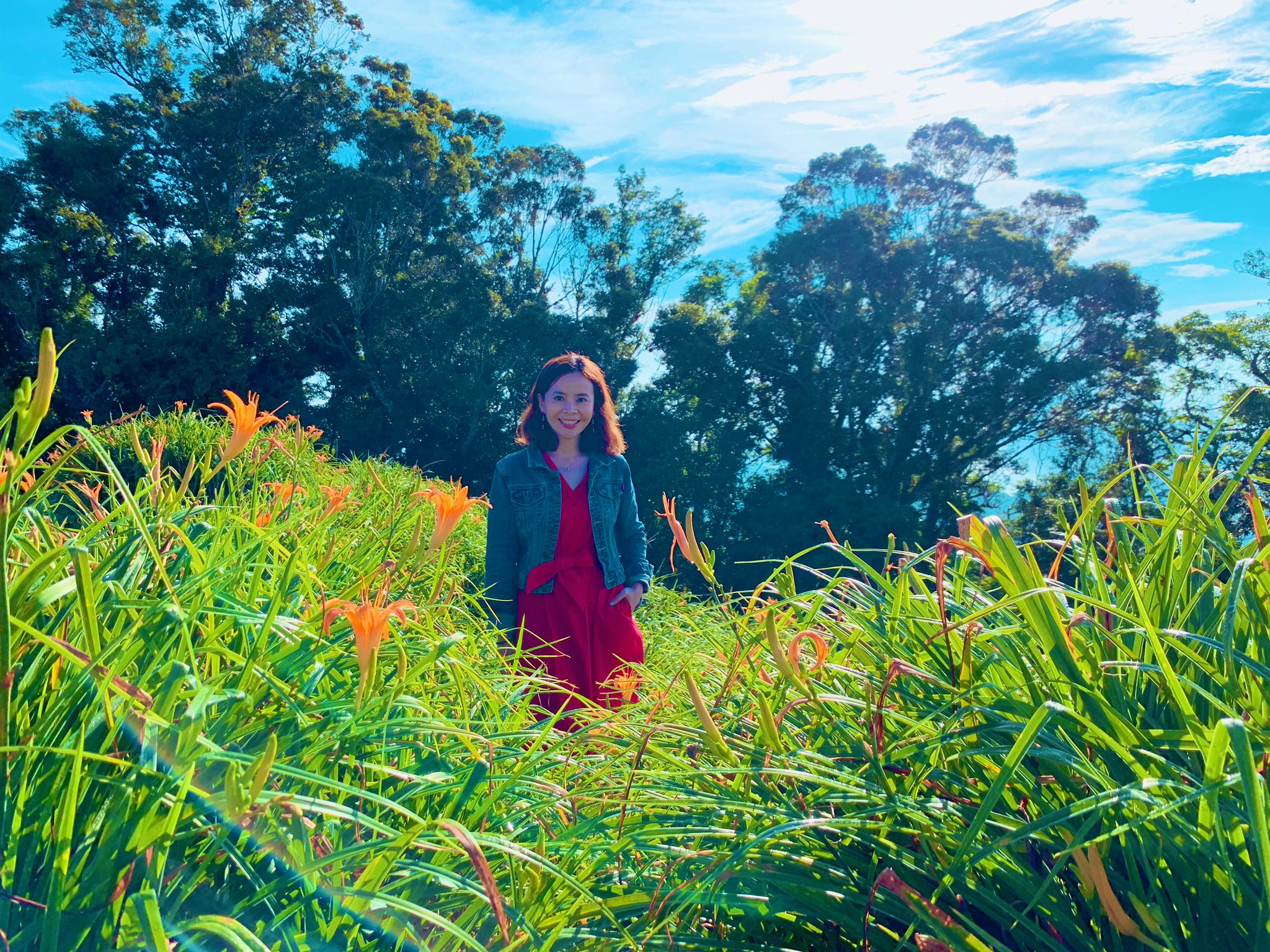 Anna Hsu (@youbear) / Twitter