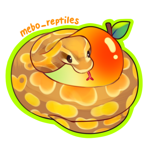 Mango Snake Discount | emergencydentistry.com