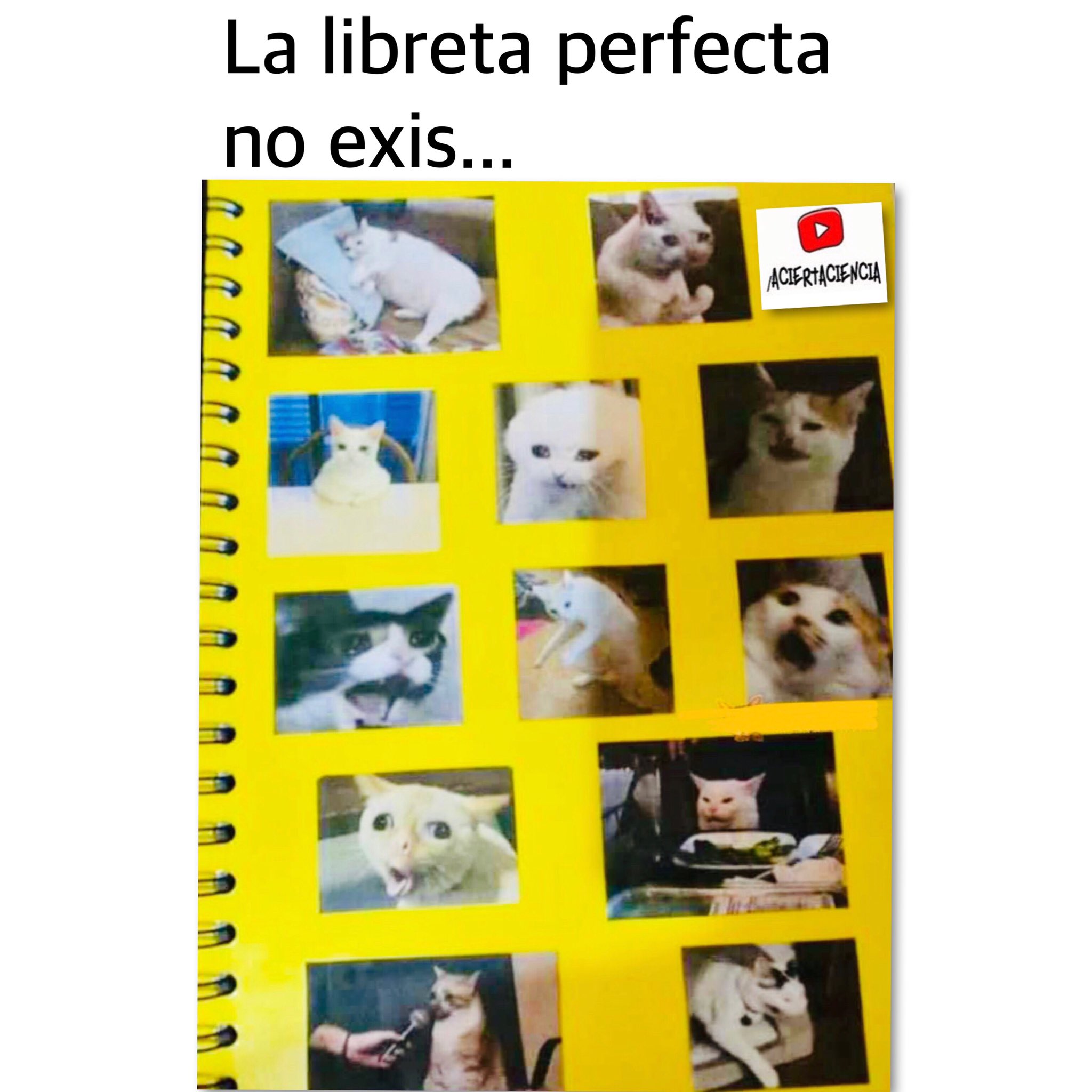 acción acre gastar la libreta perfecta Verter Microordenador mármol