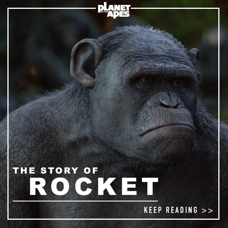 Planet Of The Apes Why Cookie Rocket