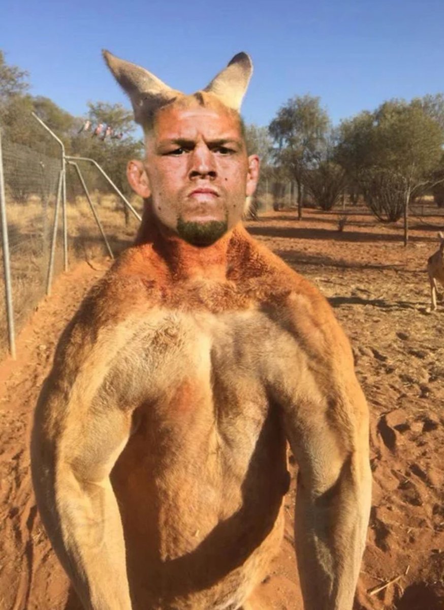 UFC 263 Embedded: Vlog Series - Episode 4 : r/MMA