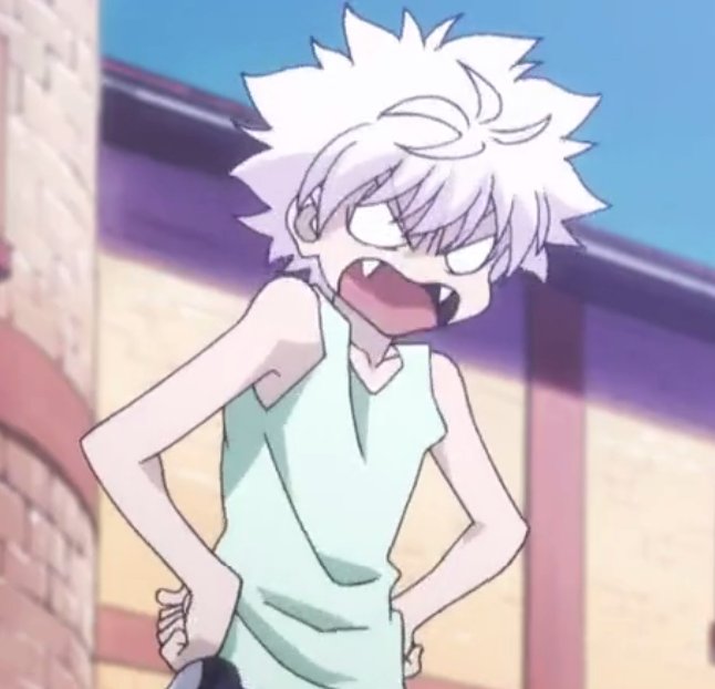 Killua Zoldyck Cat