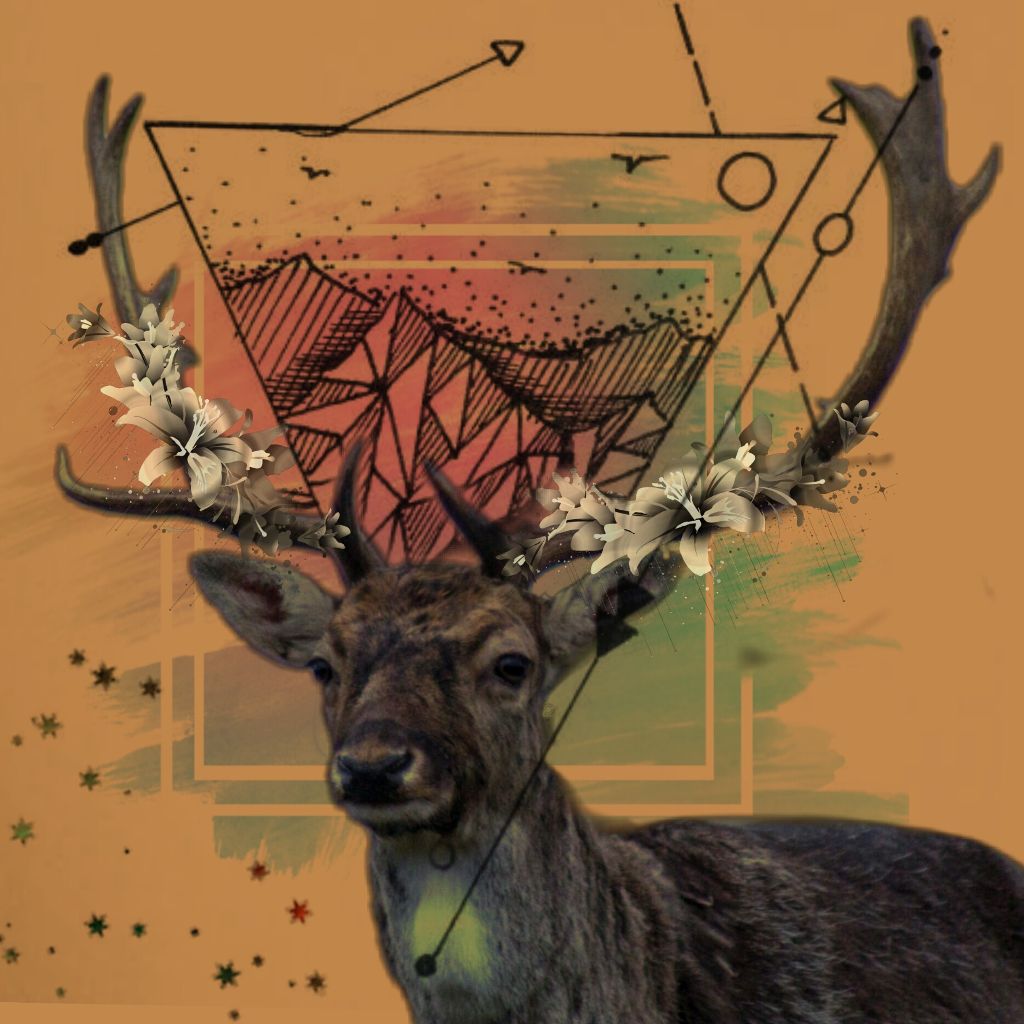 Hipster Deer Tumblr