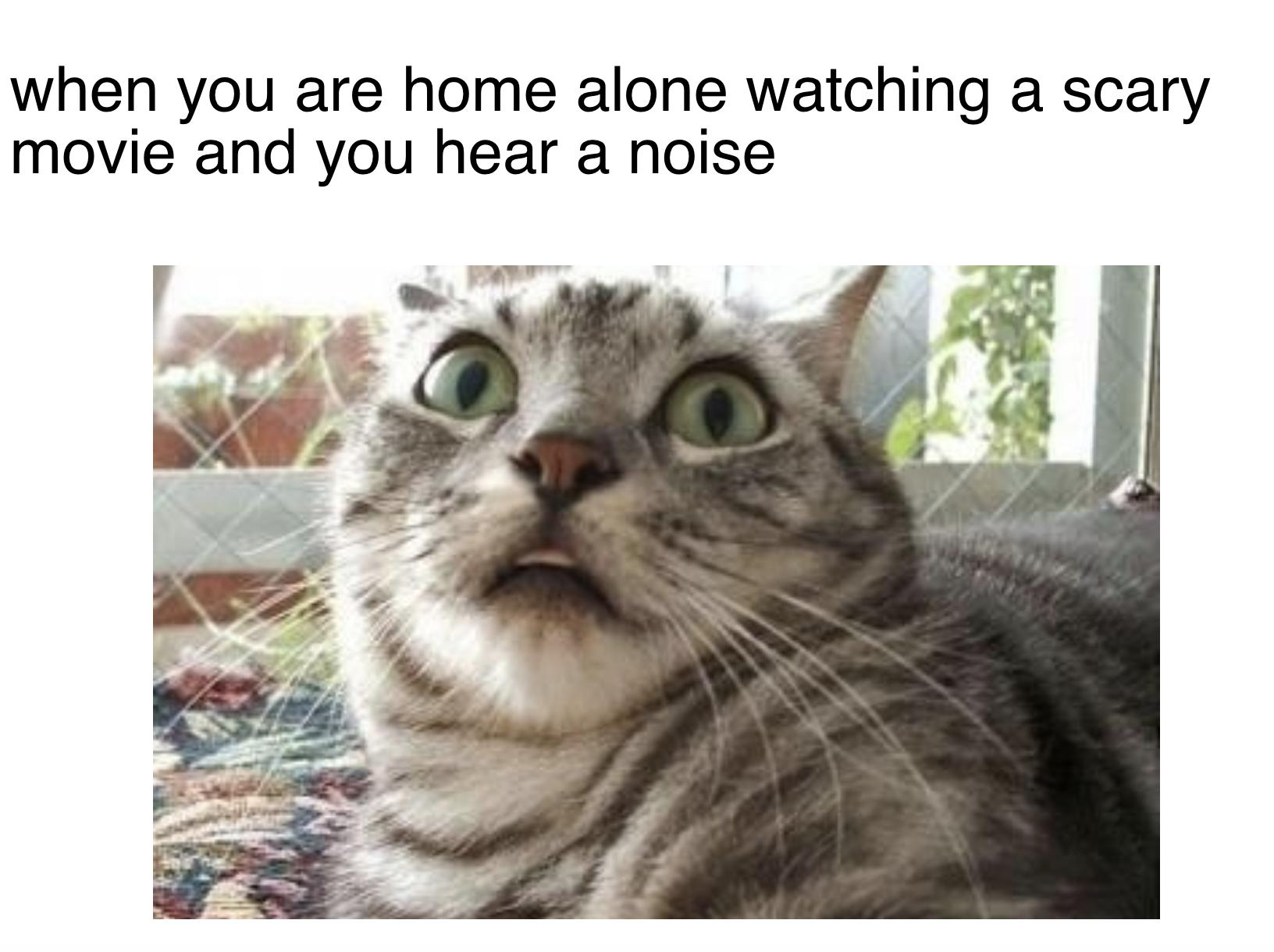 Scary Noises Memes Image Tagged In Hocus