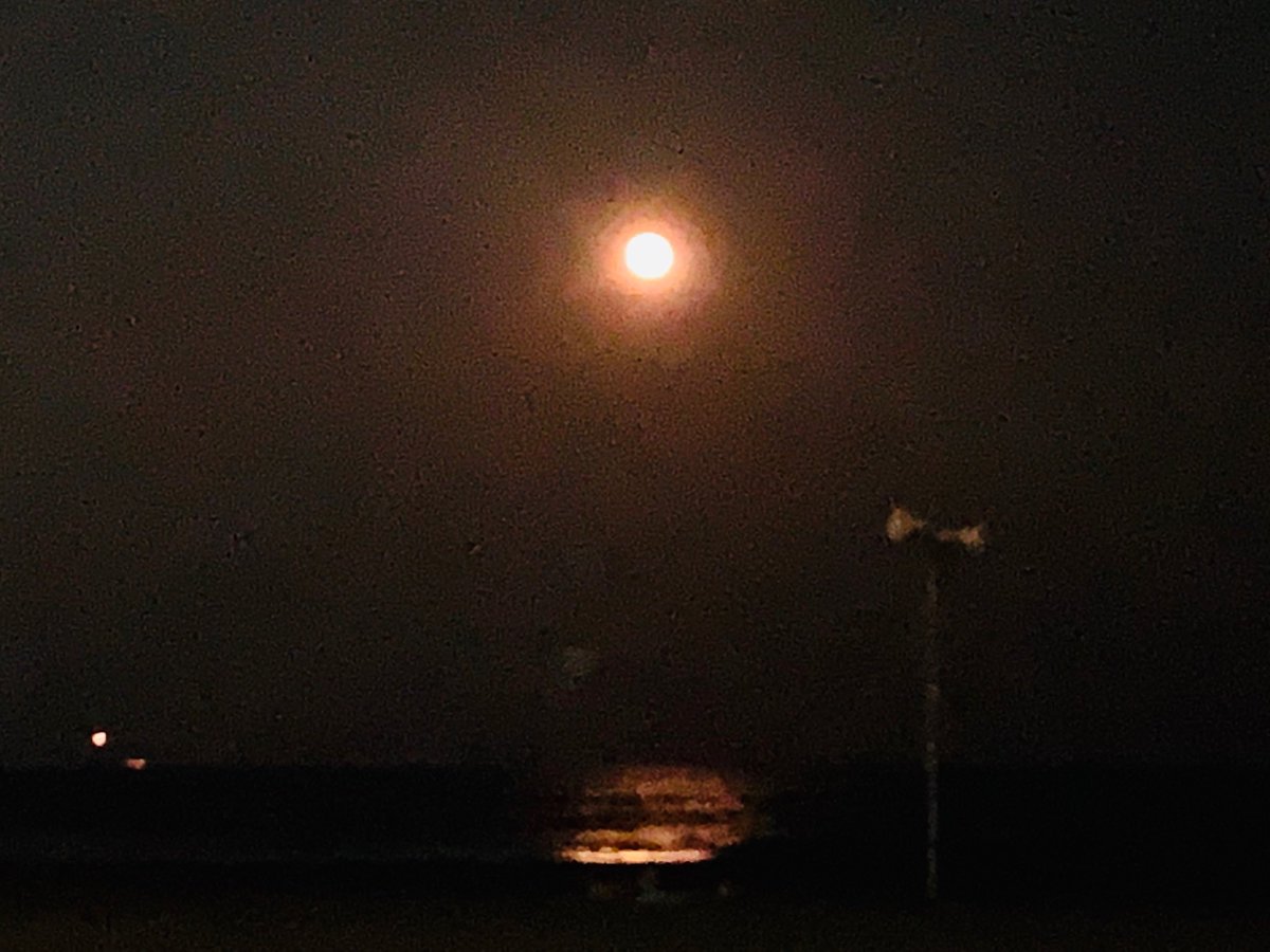 Home - Japan Backpacker