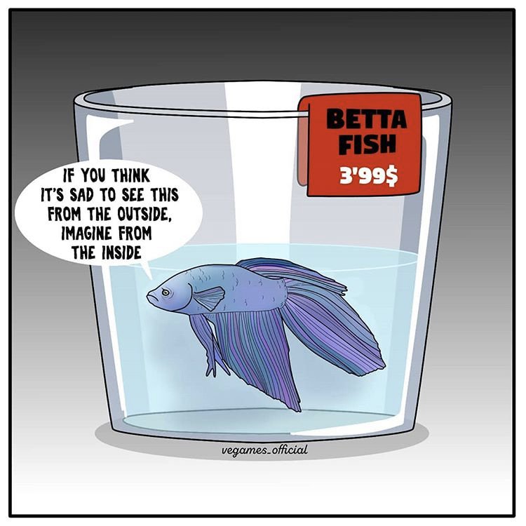 The Sad Fish In Bowl