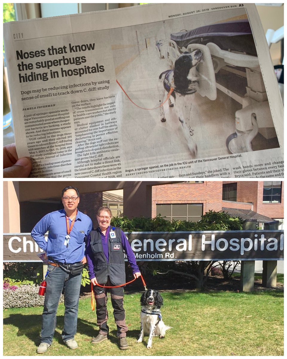 Can C Diff Be Transmitted To Dogs