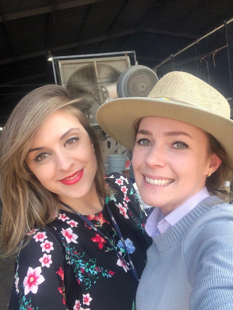 Kelly Matos's Instagram, Twitter & Facebook on IDCrawl