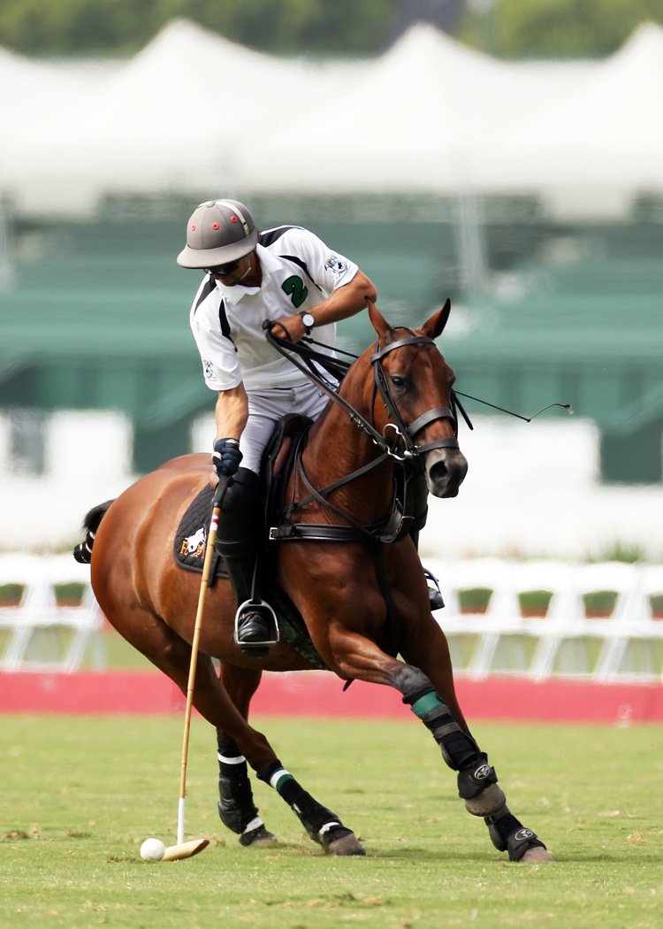 Home - Hurlingham Polo Club, Polo Team, Polo Game, Polo Magazine