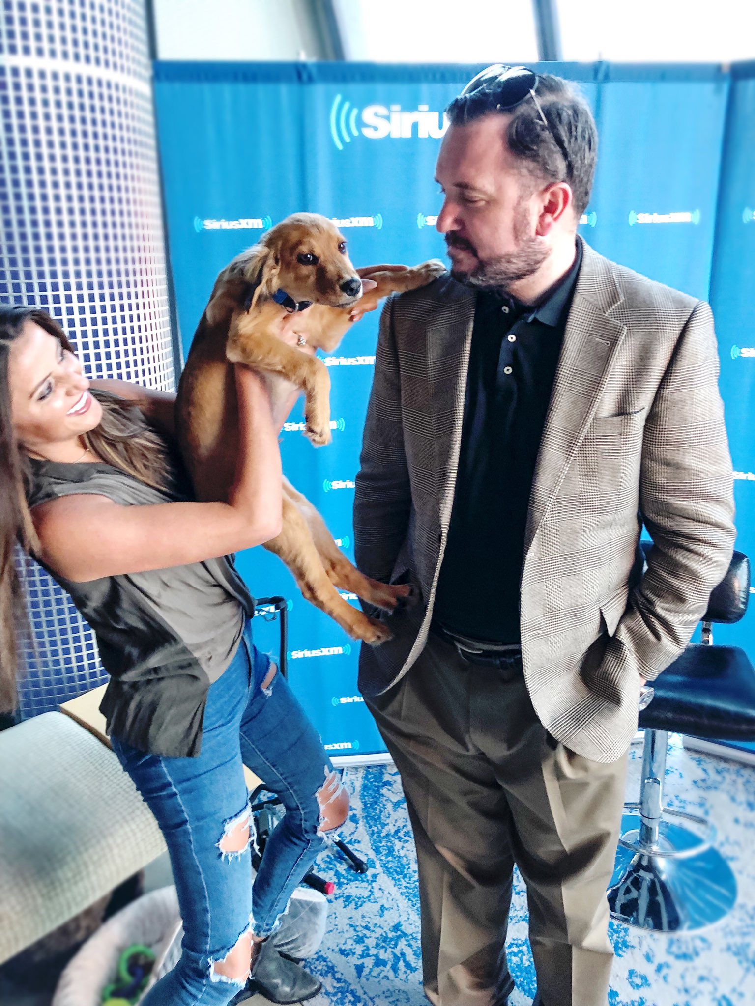 Sirius Xm Dog