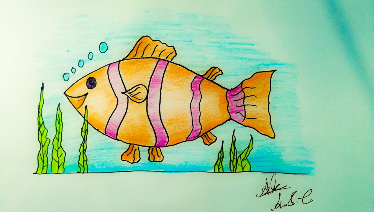 Fish Drawings For Kids