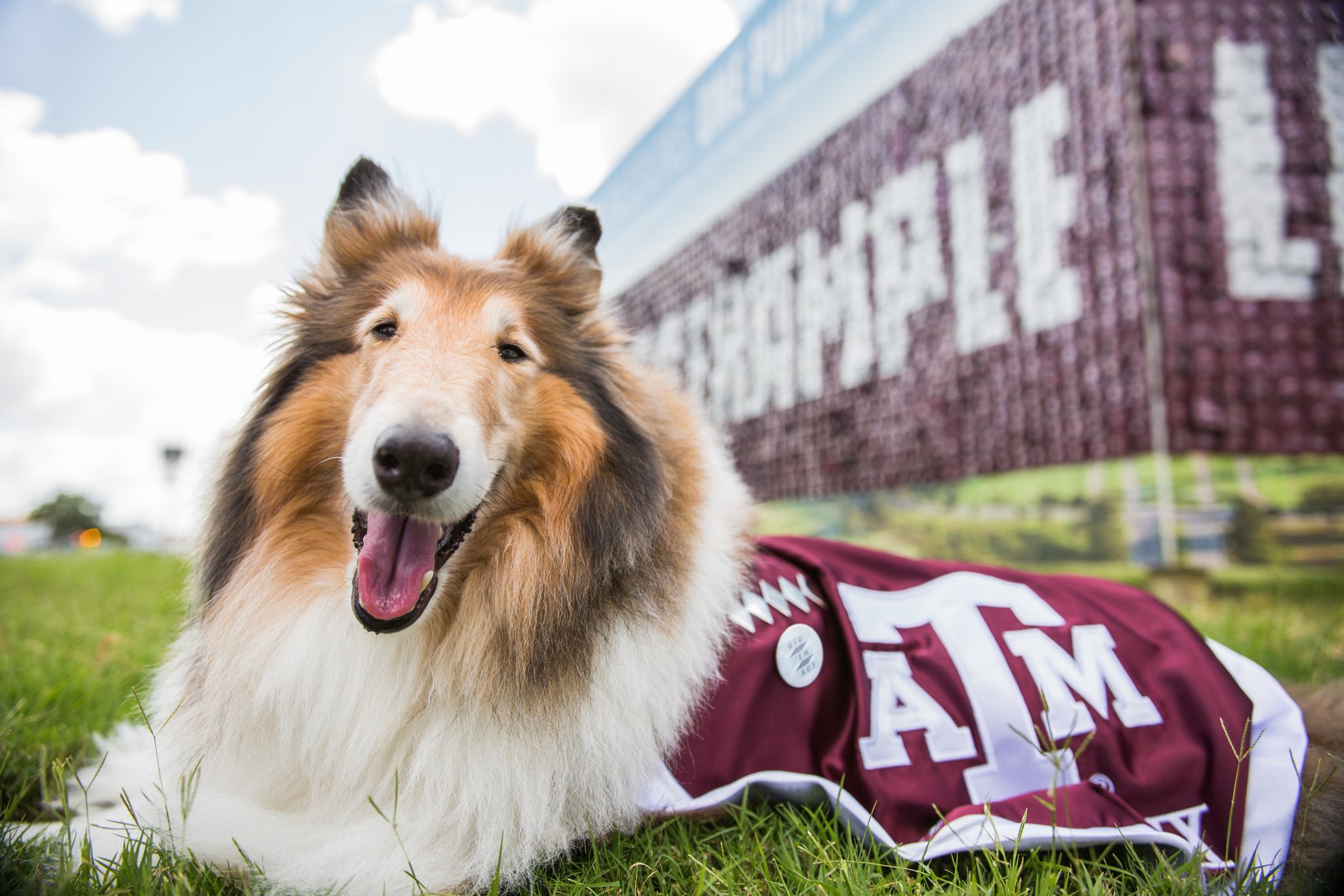 Current Reveille