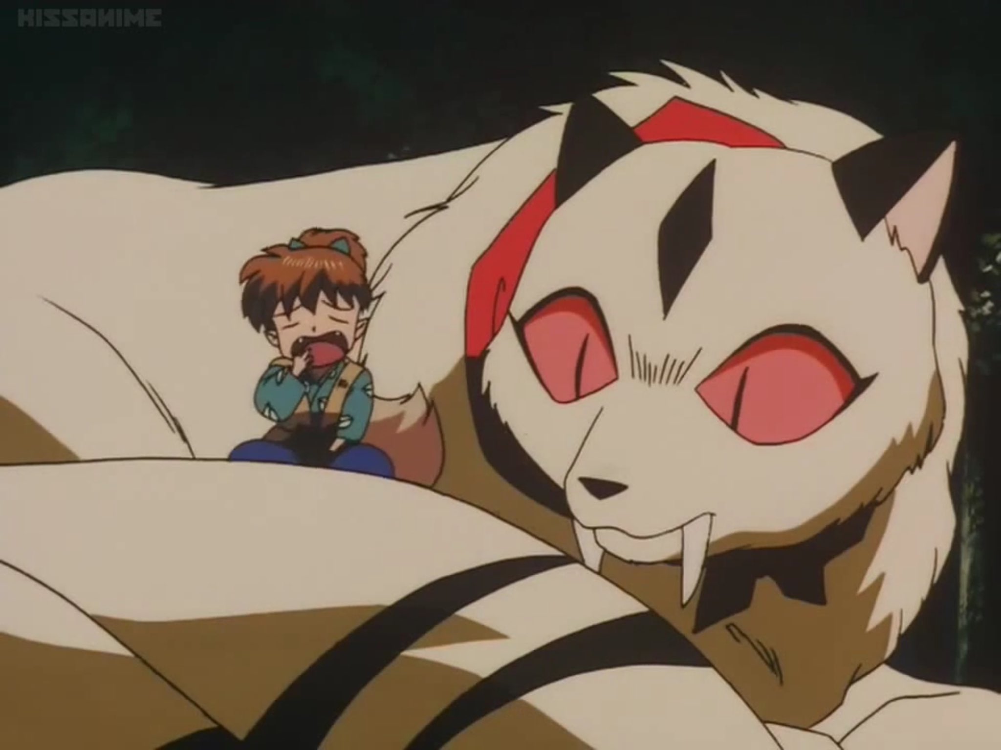 Inuyasha Kilala Wallpaper