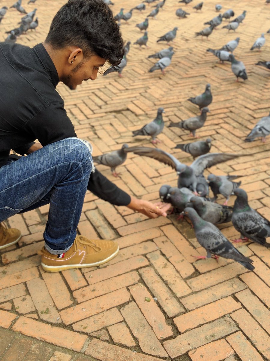 Suraj Kandel (@SurajKa36003008) | Twitter