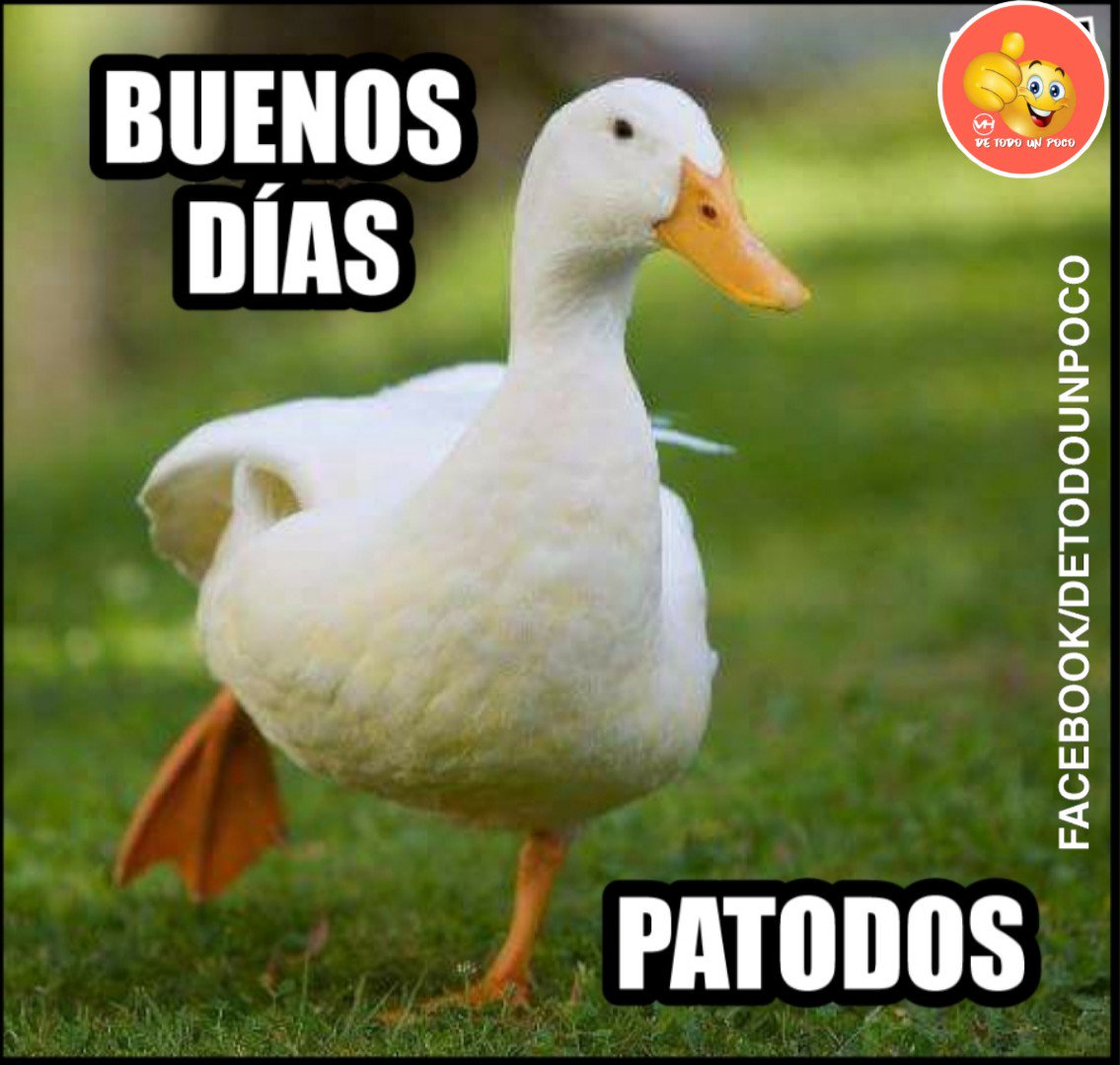 Chistes y refranes (@CRefranes) | Twitter