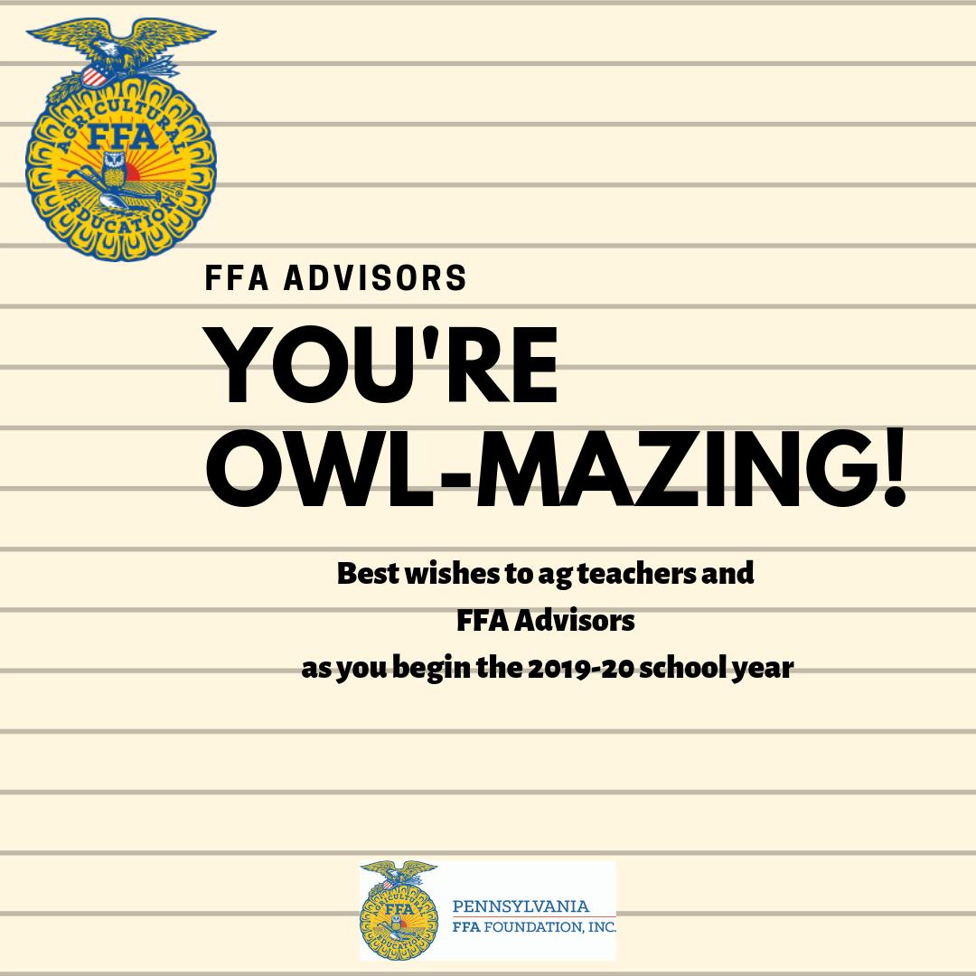 Ffa Advisor Owl