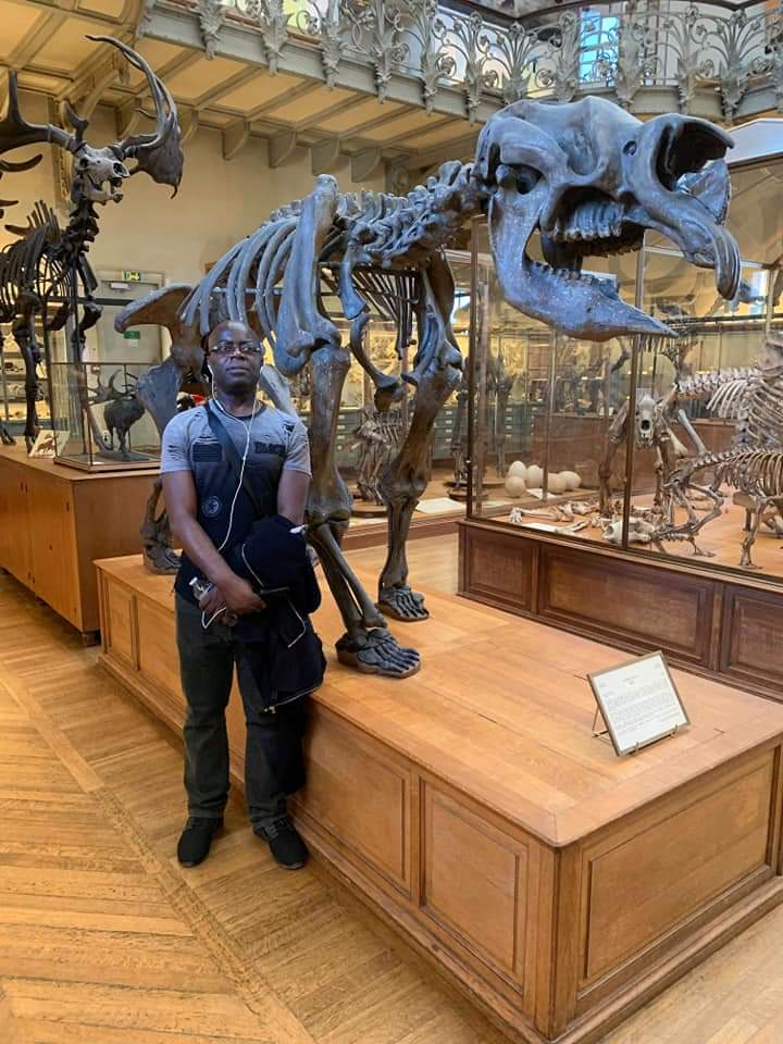 Giant Wombat Megafauna