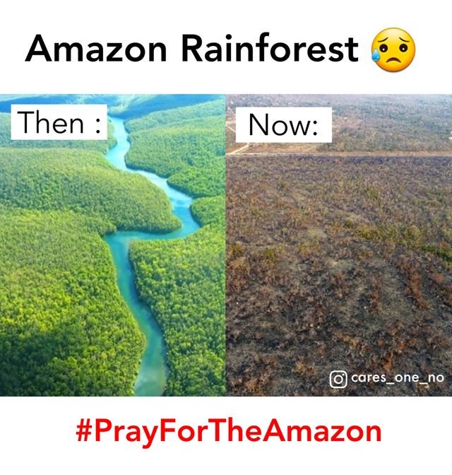Amazon Rainforest Before And After Deforestation Rates In The Amazon