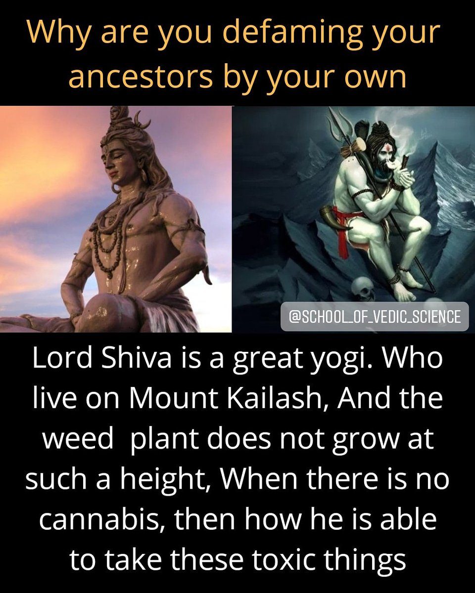 Shiva Weed Quotes