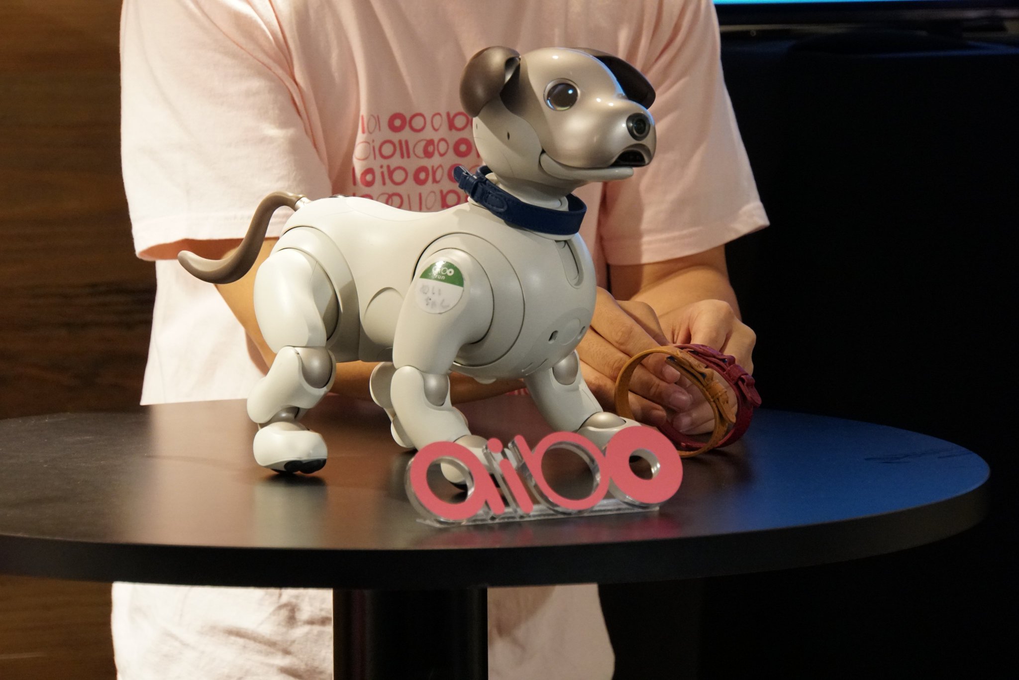 aibo(Japan) on Twitter: "2019年秋に発売となる、マザーハウス制作のaiboの首輪。 ブルー・レッド・キャメルの3色展開にて、ソニーストアとマザーハウスの店舗で ...