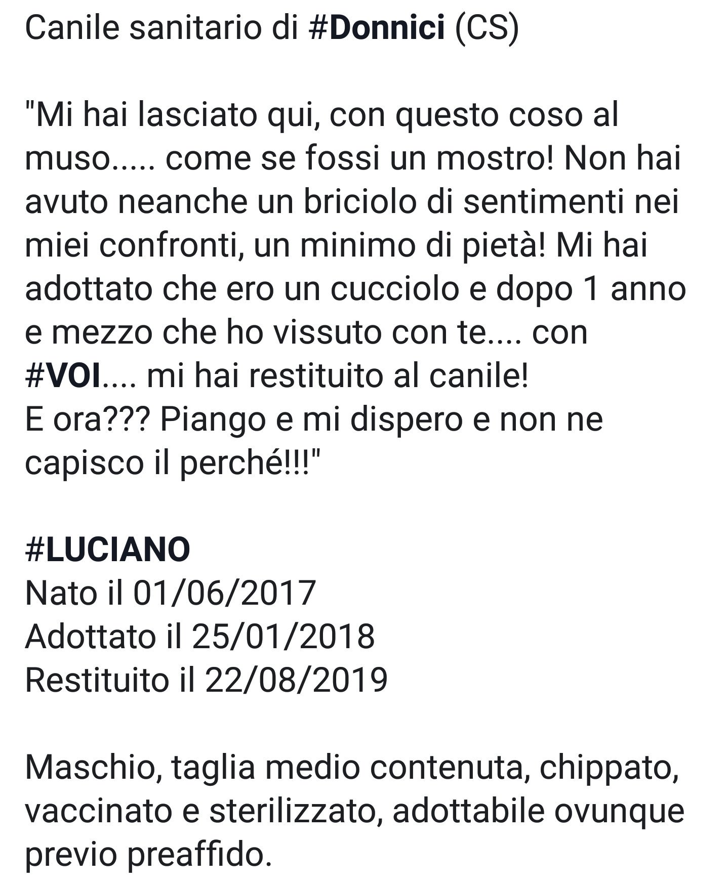 Massimo Borghi on Twitter: "🆘 🆘 🆘RIPORTATO IN CANILE DOPO UN ANNO E MEZZO SENZA PIETÀ 😠😠CERCA UN ...