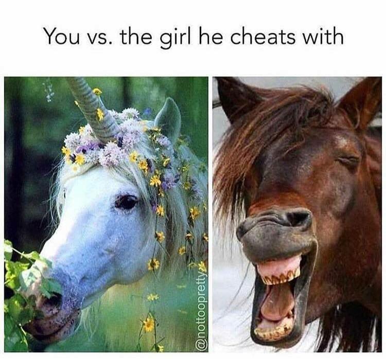 Tw Pornstars Phoebe Phelpz Twitter 🤷🏻‍♀️ Xbrandiegravesx 😂 10 20