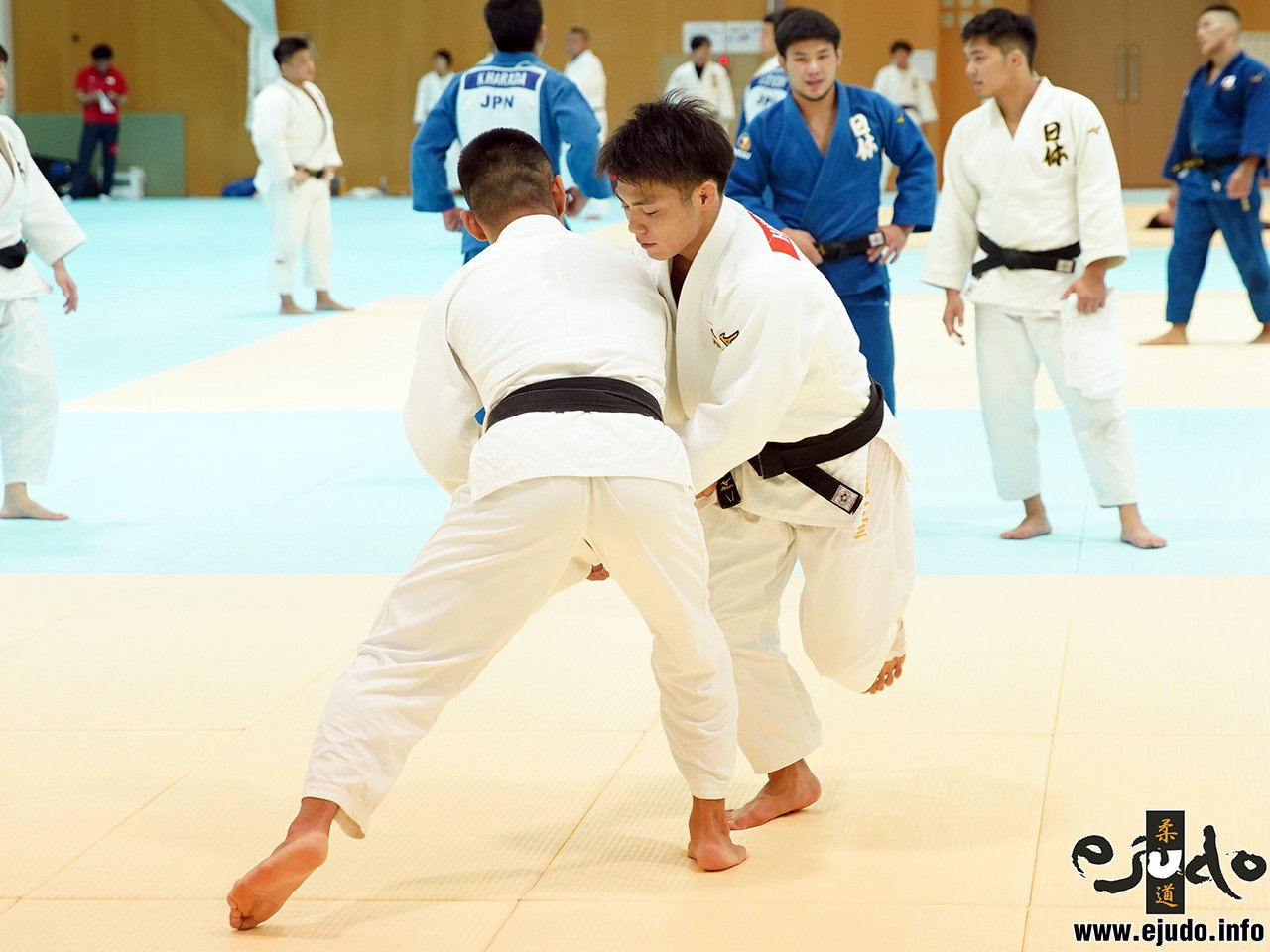 eJudo編集長 古田 英毅 on Twitter: "【東京世界柔道選手権2019特集】開幕あすに控え男女日本代表が調整練習を公開、3連覇目指す阿部一二三は「圧倒的に勝つ ...