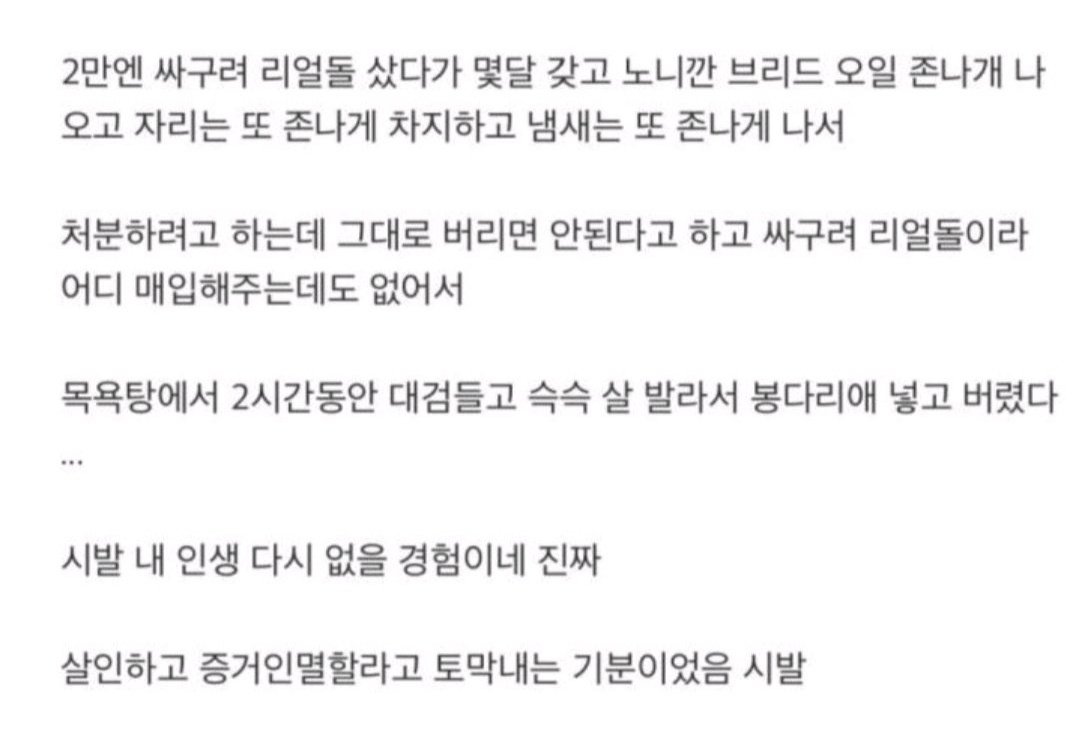 Raphael Rashid On Twitter Another Image That Went Viral In Korean