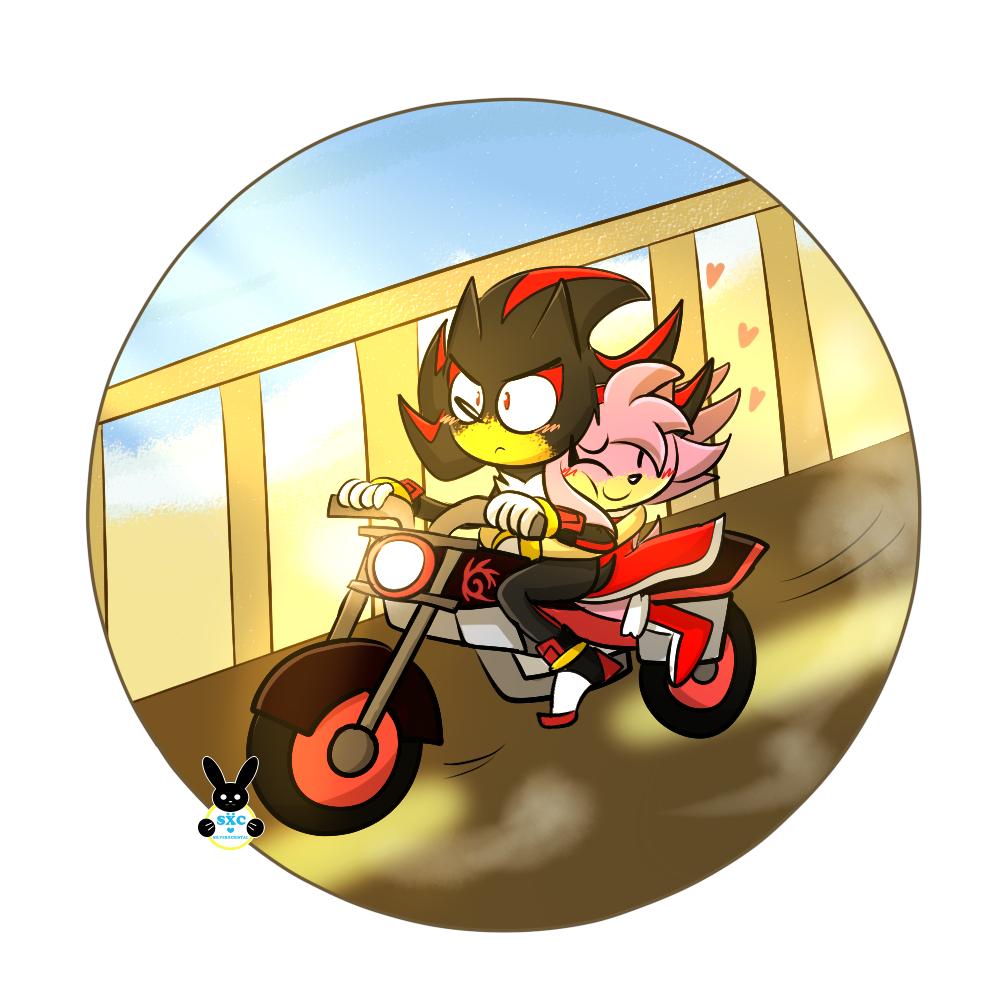 Shadow The Hedgehog On A Motorcycle