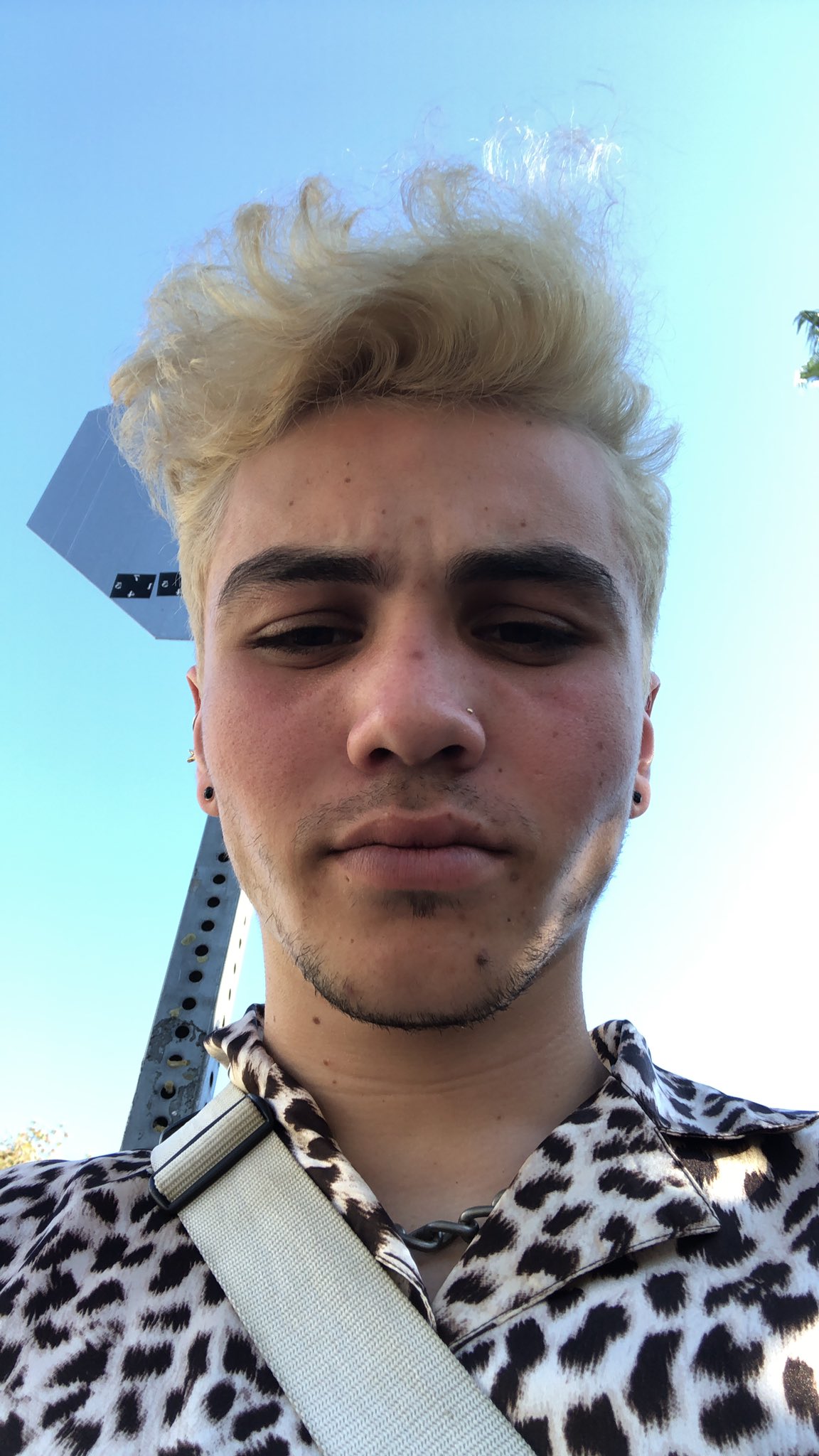 Sam Pottorff Purple Hair