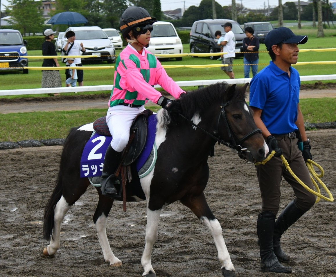 パカパカ工房💉ワクチン3回接種済 On Twitter 【jra宮崎育成場】全国ポニー競馬選手権(ジョッキーベイビーズ)九州地区決勝。①