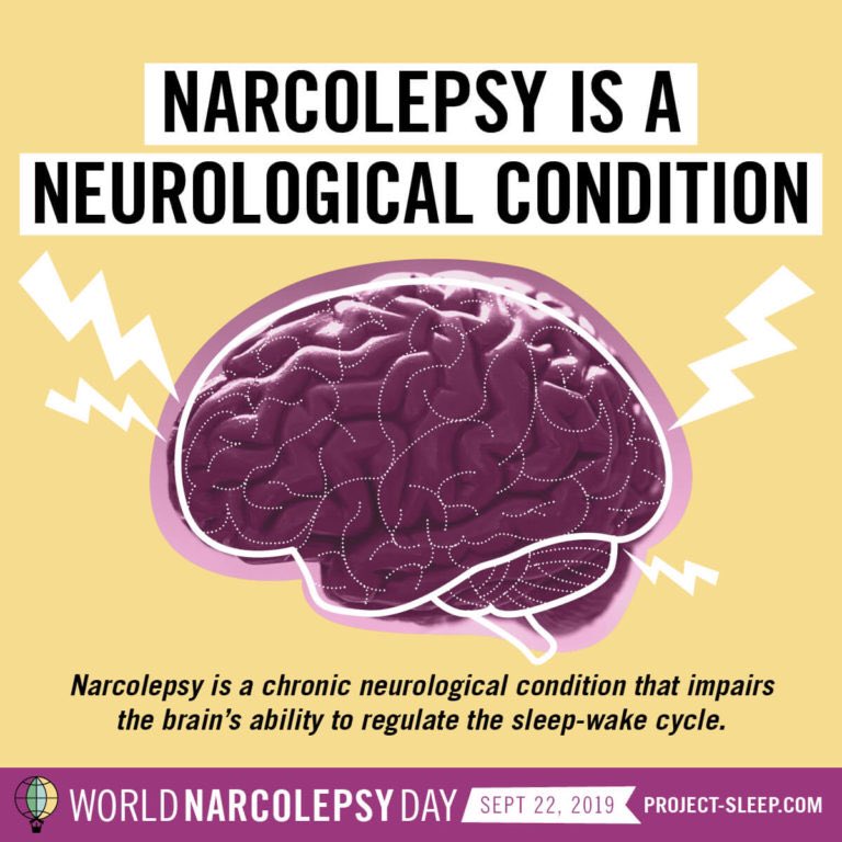 Narcolepsy Brain