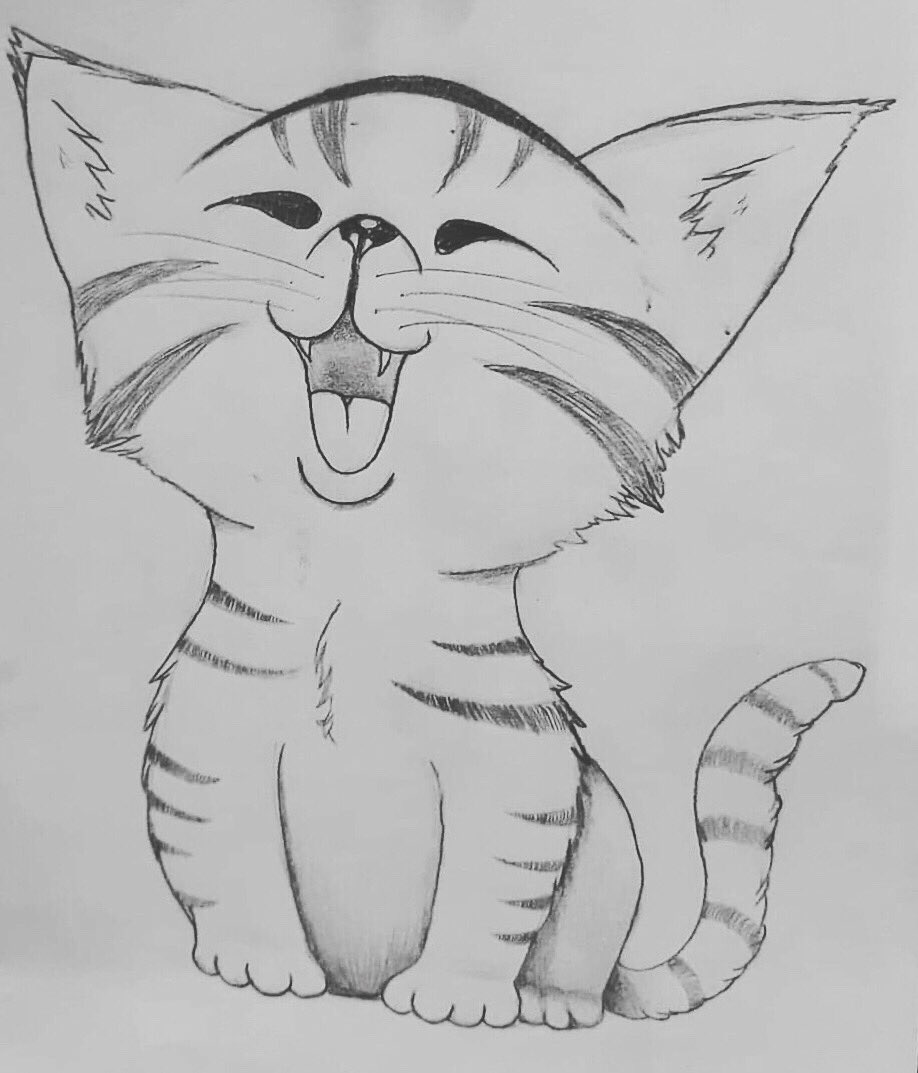 Cute Cat Drawings In Pencil