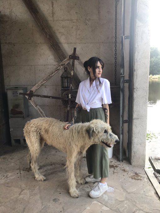 TW Pornstars - Hairy Styles. The most liked pictures and videos from ...