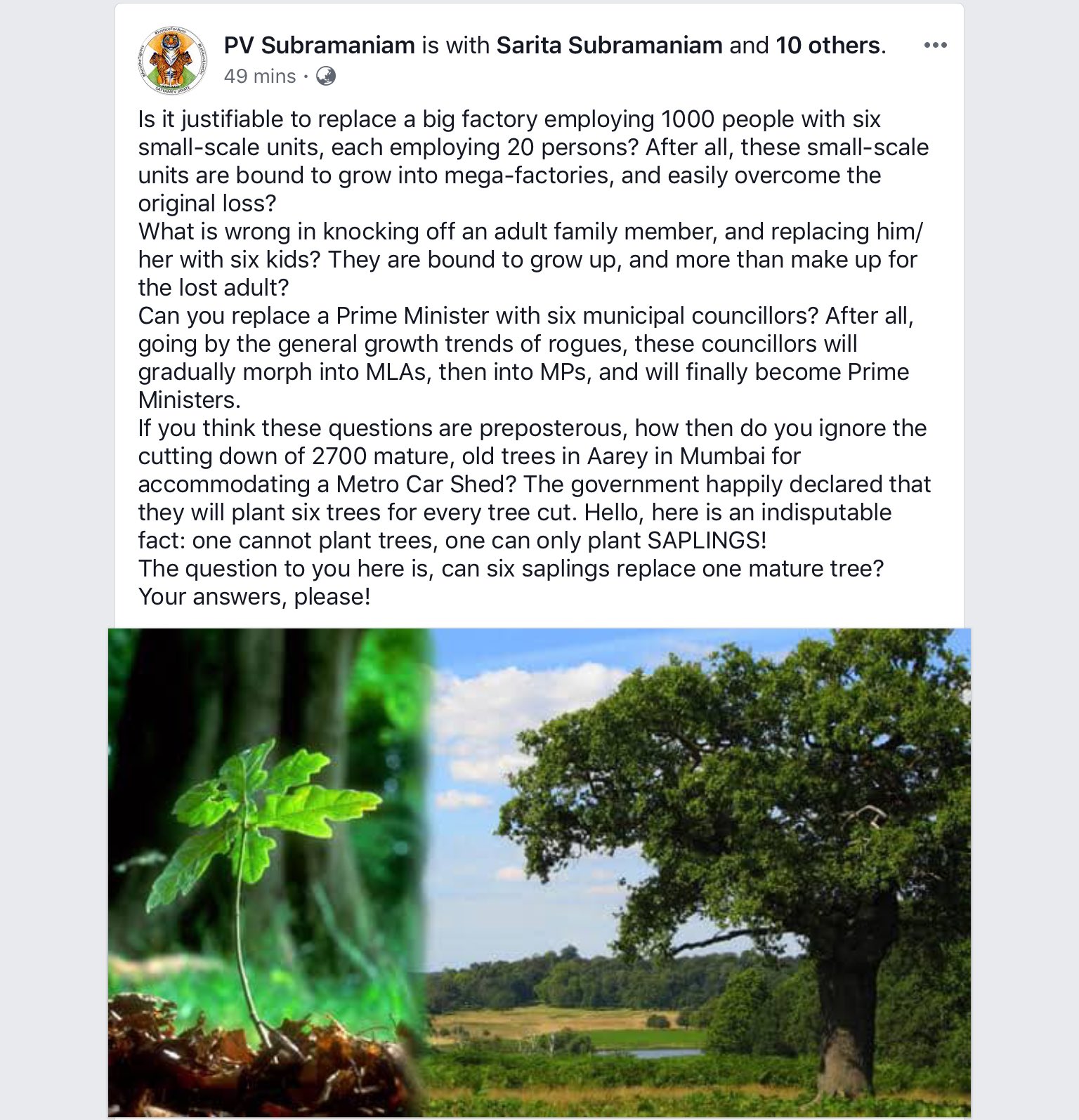 Tree Sapling Quotes Tree Planting — Blog — Alex Hallatt