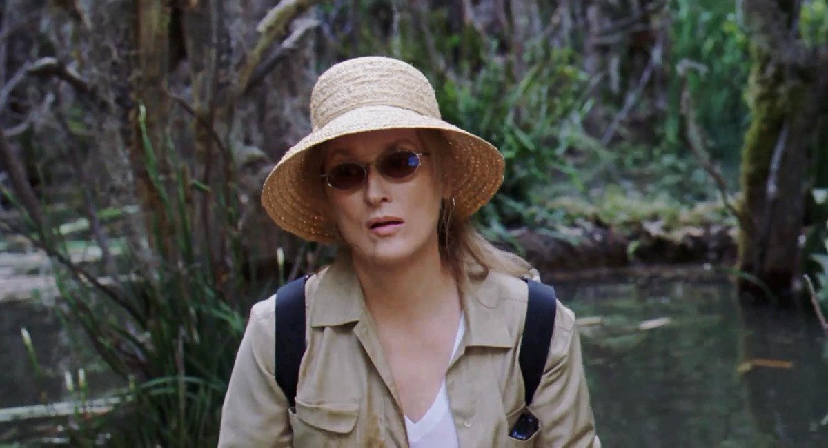 Adaptation Meryl Streep