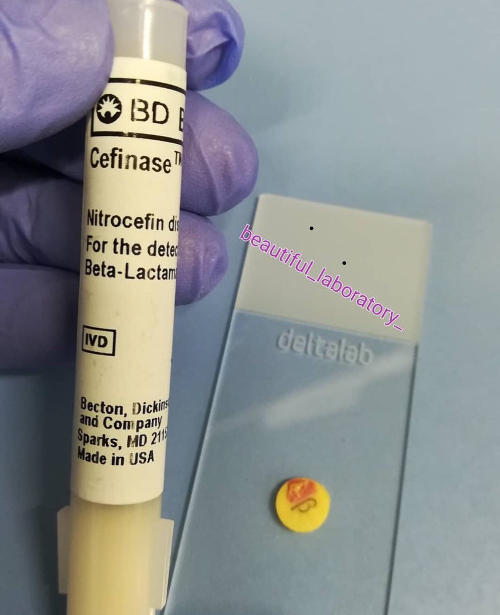 1️⃣ قرص CEFINASE هذا القرص عبارة عن مركبين اساسيين cephalosporin ...