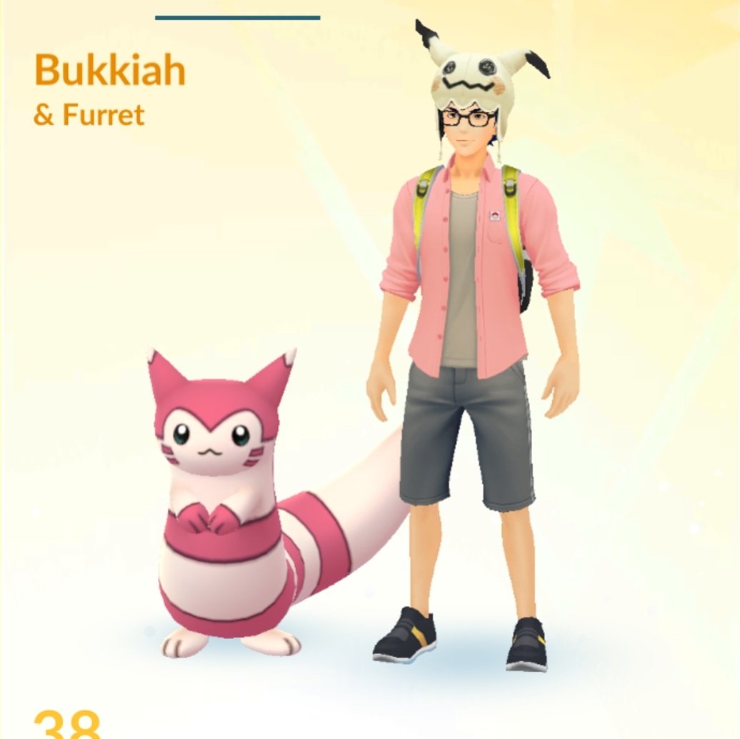 Shiny Furret Pokemon