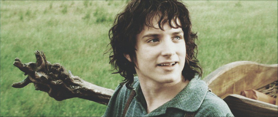 Frodo Smile Gif