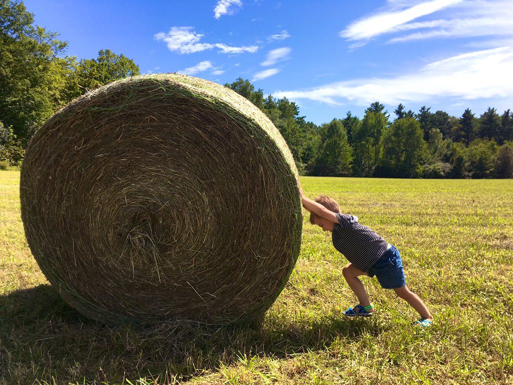 Holly Koiro (@mindboggle) | Twitter