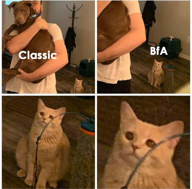 Are You A Dog Person Or A Cat Person