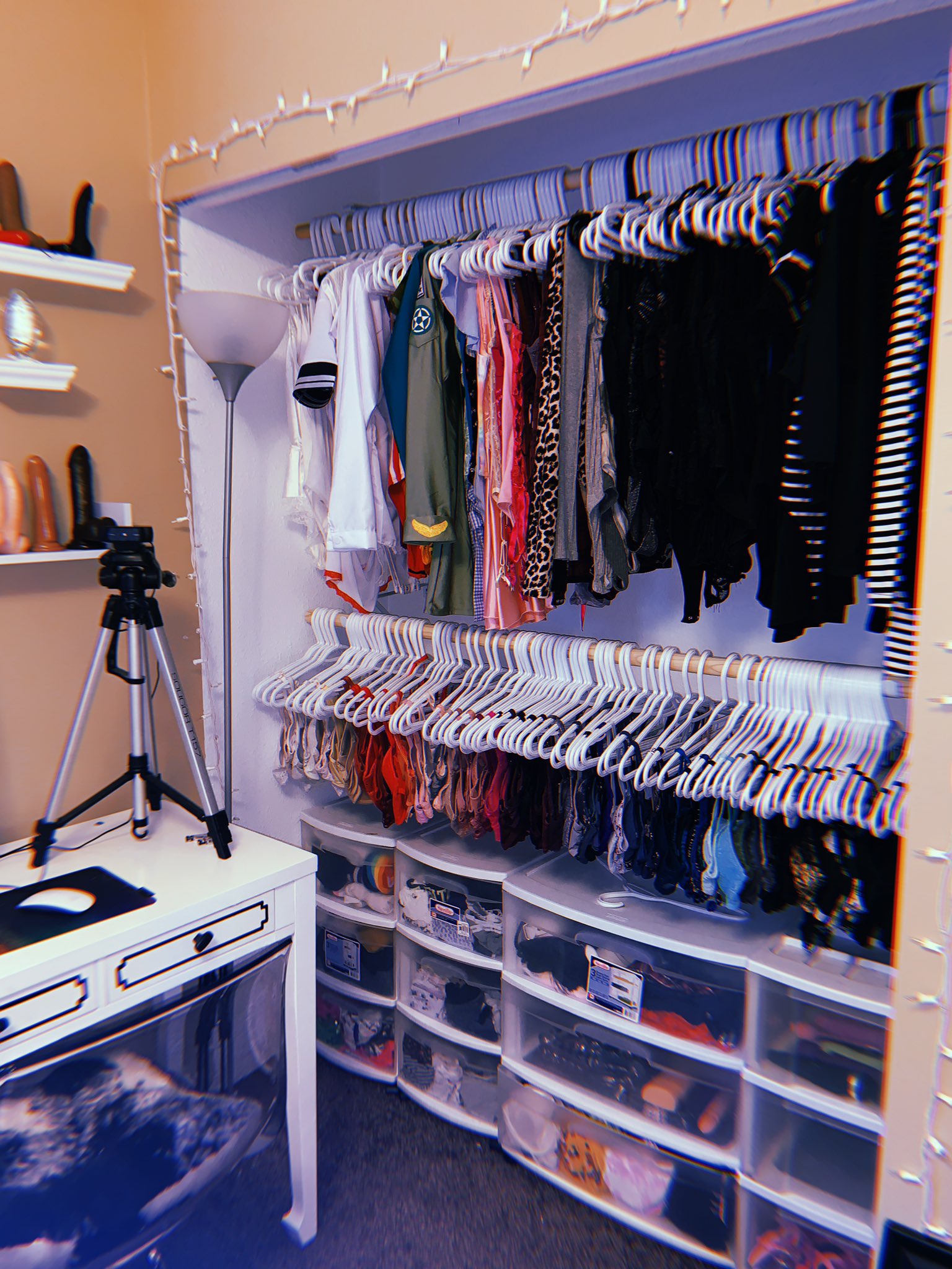 TW Pornstars - 3 pic. Scarlet Summer 🌸 Top 2%. Twitter. My camroom is ...