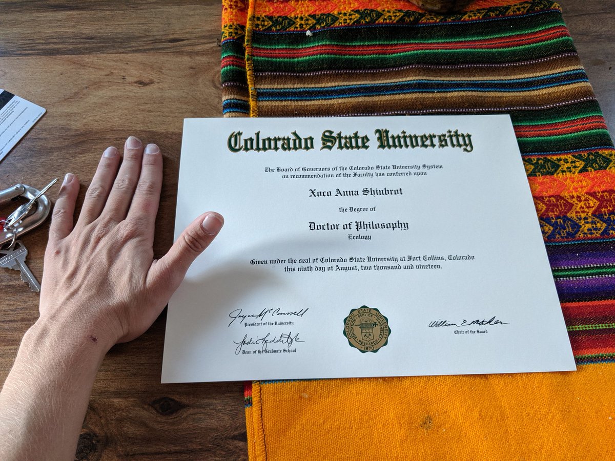 Phd Diploma
