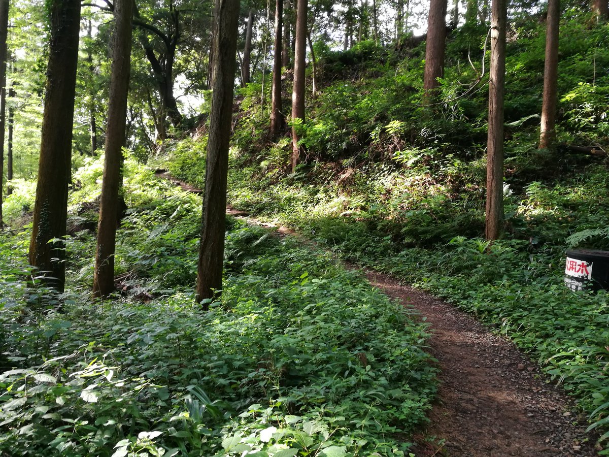 小田原征伐~後北条氏の滅亡~ (5ページ目) - Togetter [トゥギャッター]