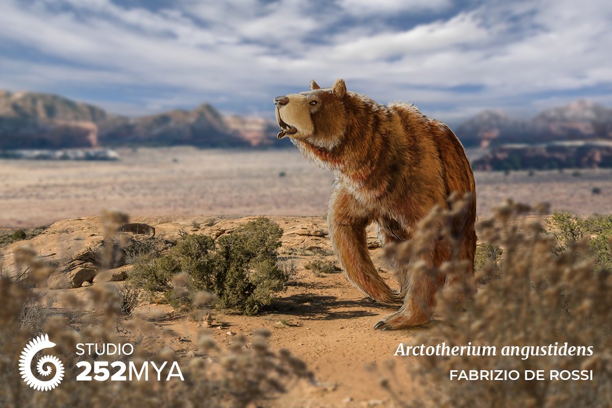 Arctotherium Angustidens