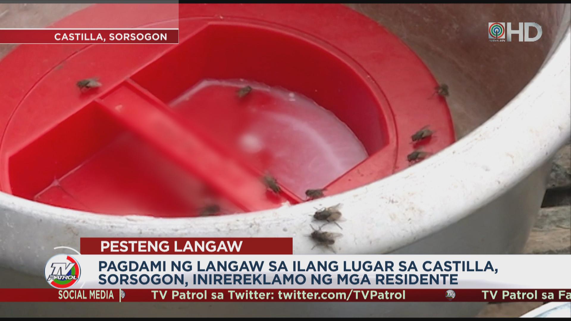 TV Patrol on Twitter: "#TVPatrol Pagdami ng langaw sa ilang lugar sa Castilla, Sorsogon ...