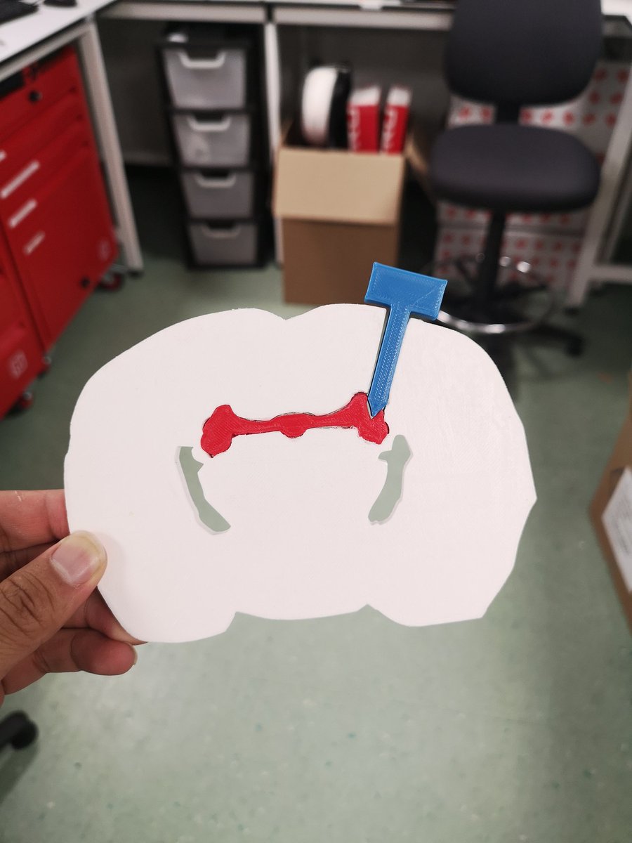 Huxi Wang (@Huxi19020900) | Twitter