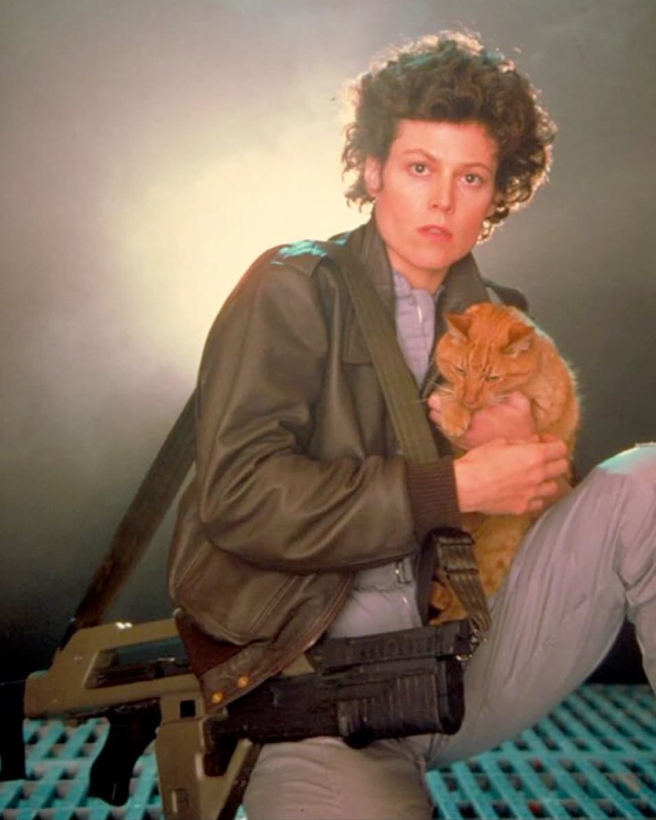 Los Alienígenas Ripley Y Jonesy El Gato En El Nostromo Alternative ...